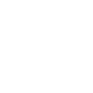 Lithium-ion technology - EasyLi